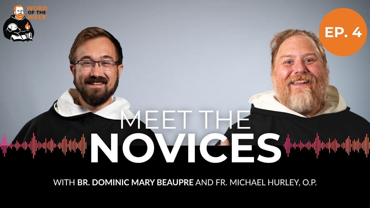 Meet the Novices: Br. Dominic Mary Beaupre | Word of the Week with Fr ...