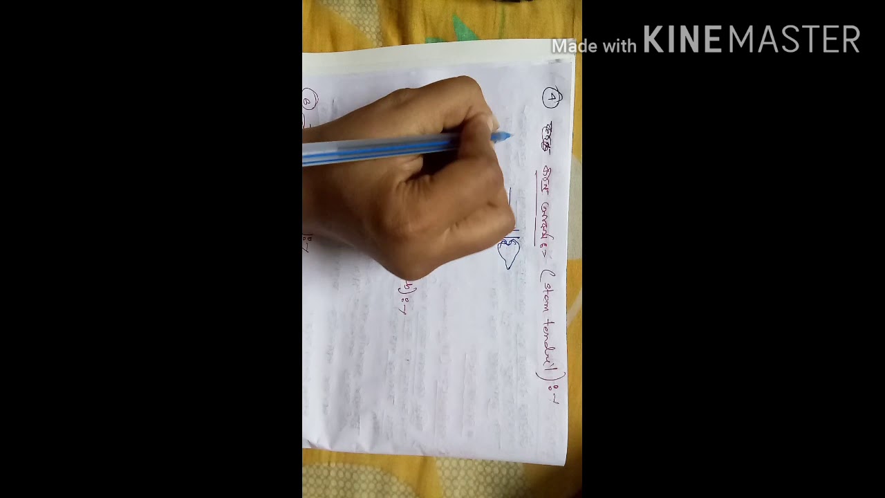 Stem modification part 3 class xi science - YouTube