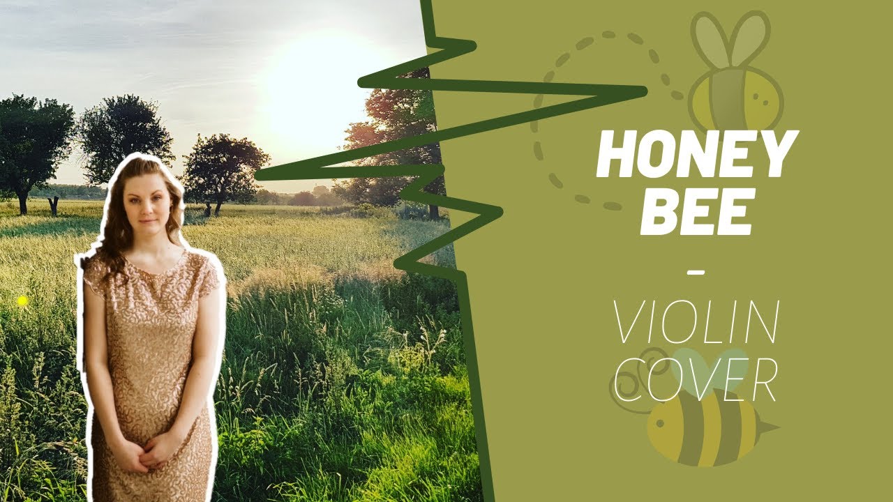 Honey Bee - Violin Cover (VIEWER REQUEST) - YouTube
