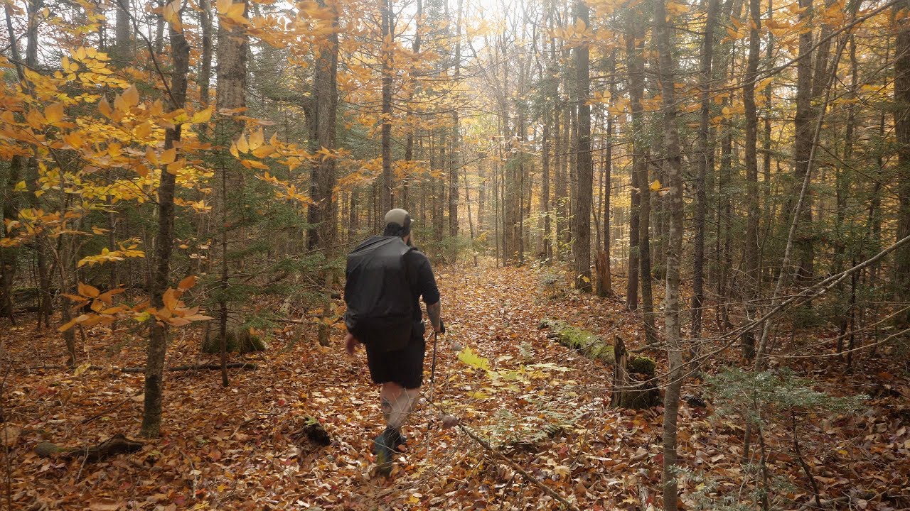 3 Days Solo Hiking New Hampshire | Mt Nancy | Nancy Pond | Nancy ...