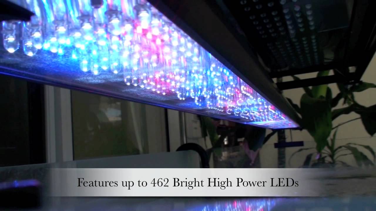 AQUATOP's SkyLED 252-462 LED Lighting in 24", 36" & 48" Lengths - YouTube