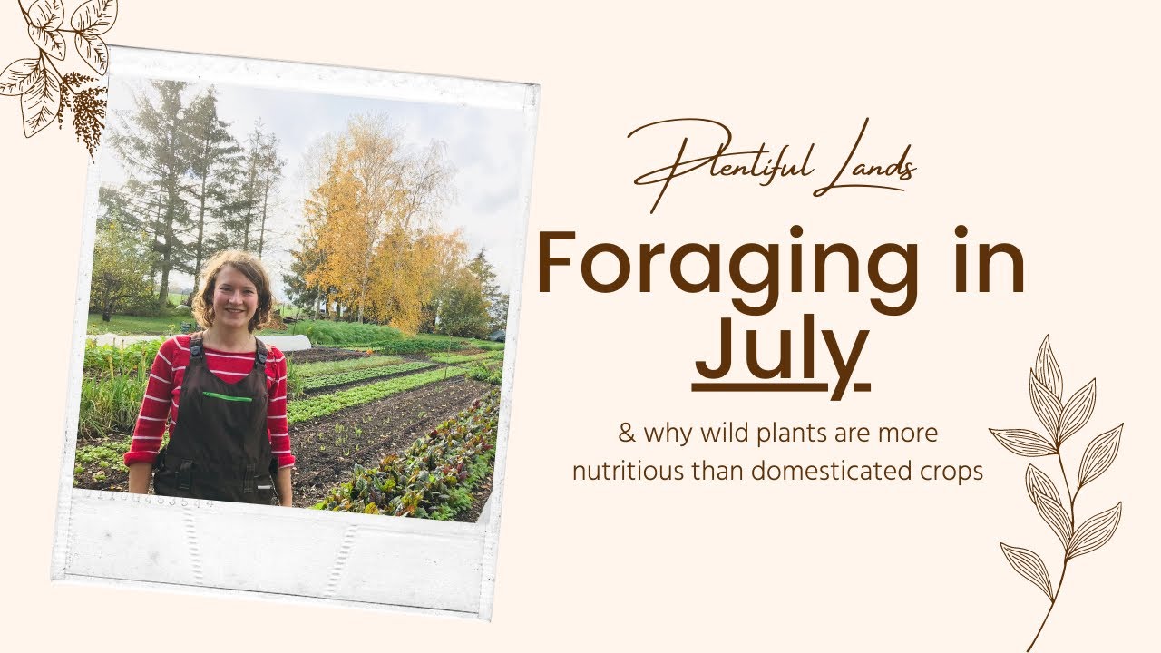 Foraging in July | Why Wild Plants are so Nutritious - YouTube