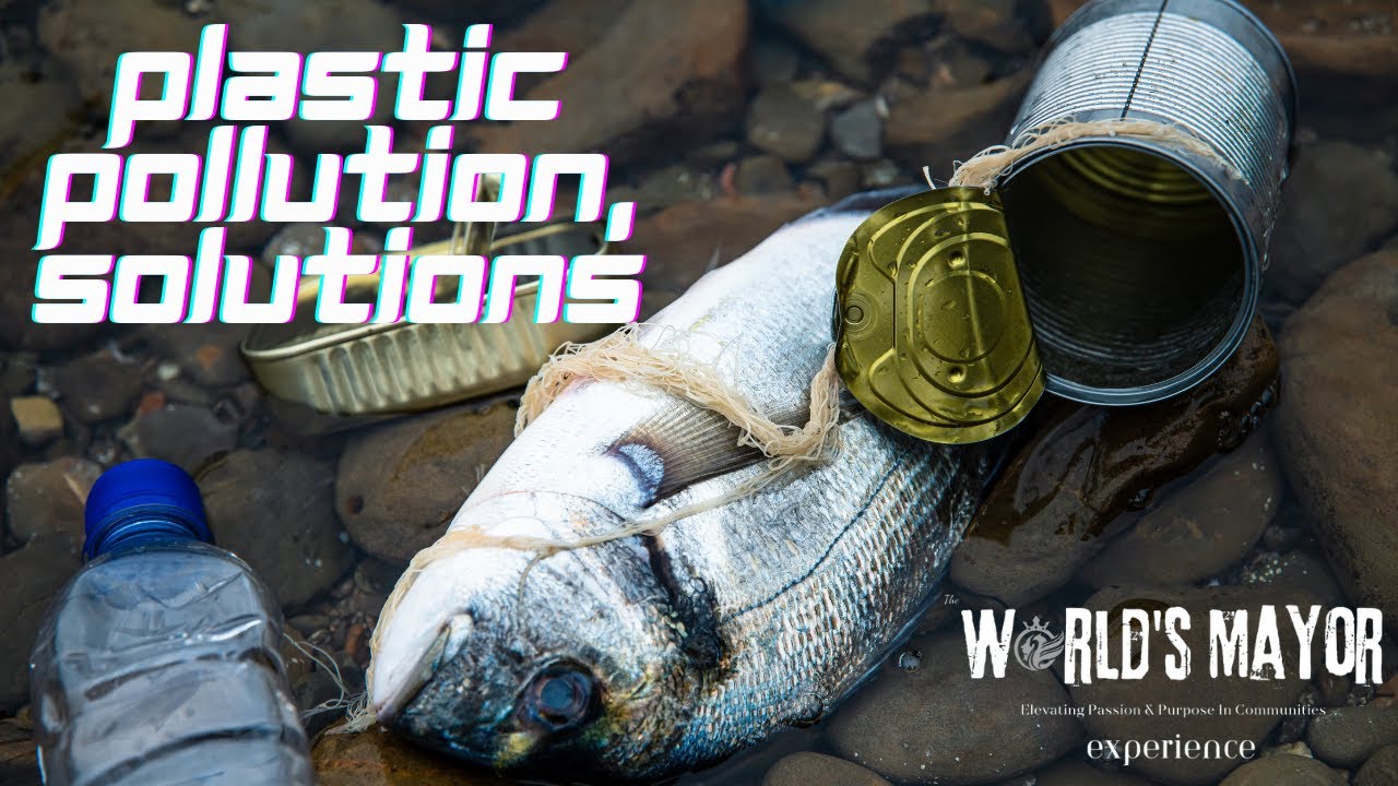 Understanding Plastic Pollution: Dangers, Impacts on Health ...