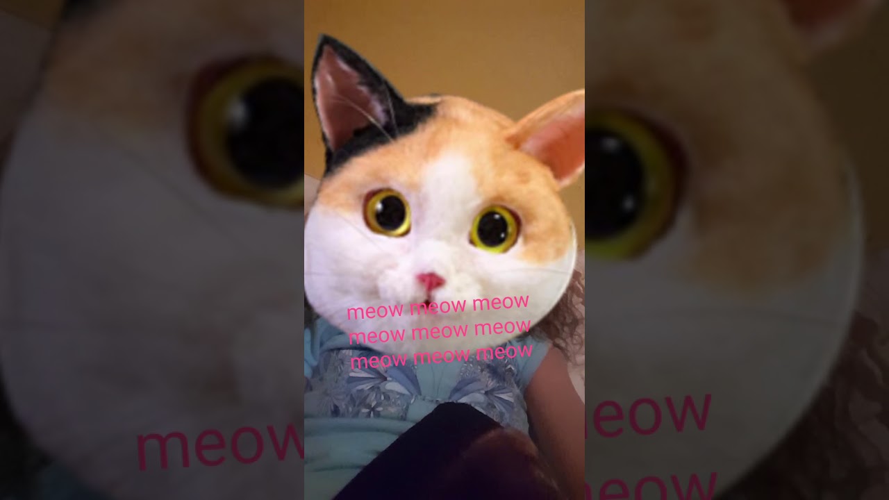 Meow meow meow meow 🐱🐱 - YouTube