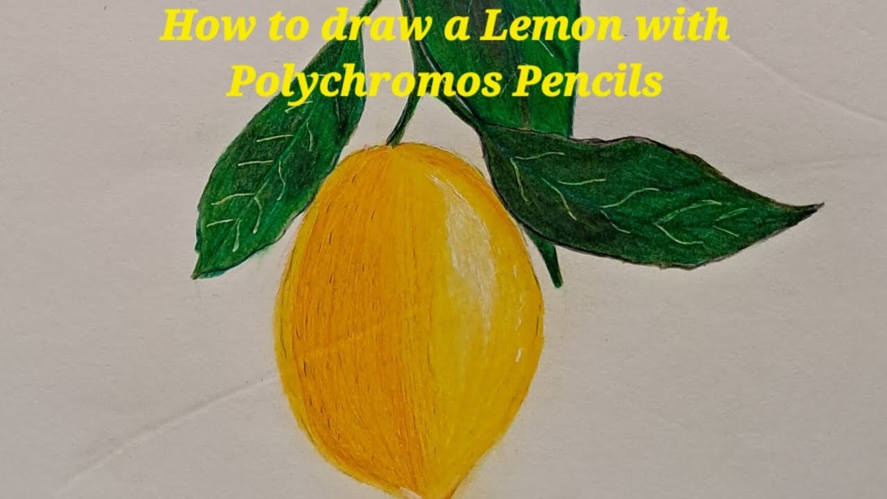 how to draw a Lemon 🍋 with colour pencils/ Colour pencil painting for ...