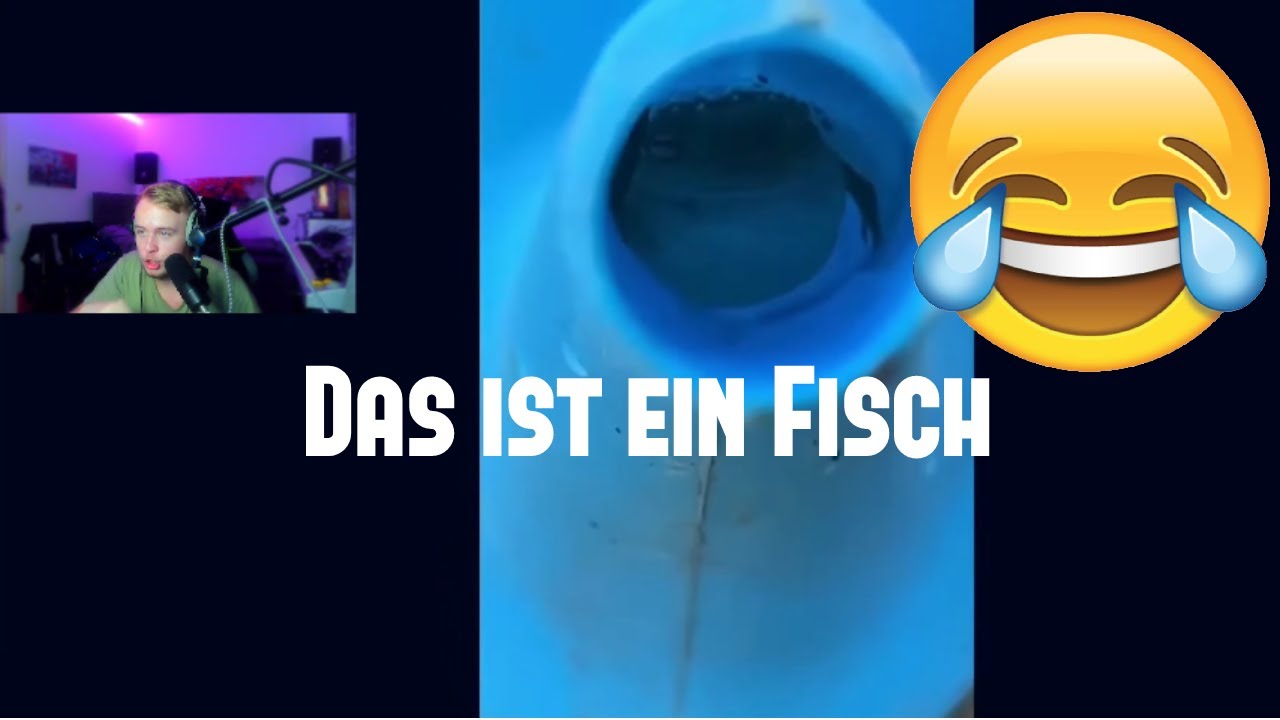 DAS IST EIN FISCH | baba memes - YouTube
