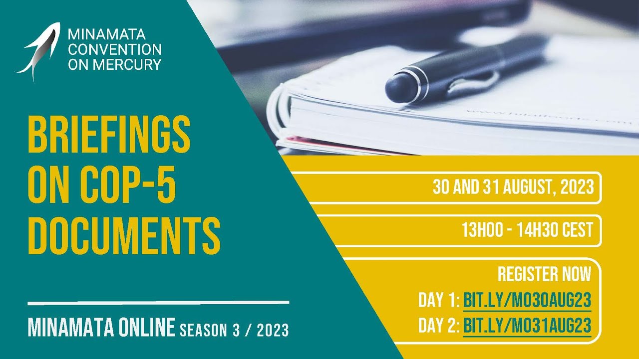 Minamata Online: Briefings on COP-5 documents: (Day 1 - 30 August ...
