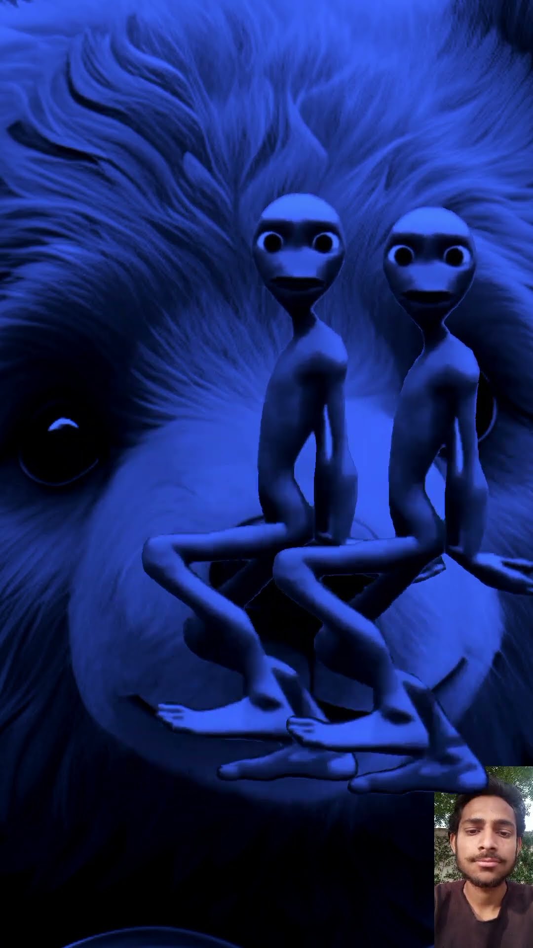 alien dance versis dog #viral #shortvideo #funny #music #alien # ...