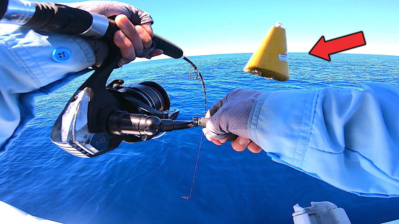 What Can You Catch At A Fish Aggregating Device? (FAD) - YouTube