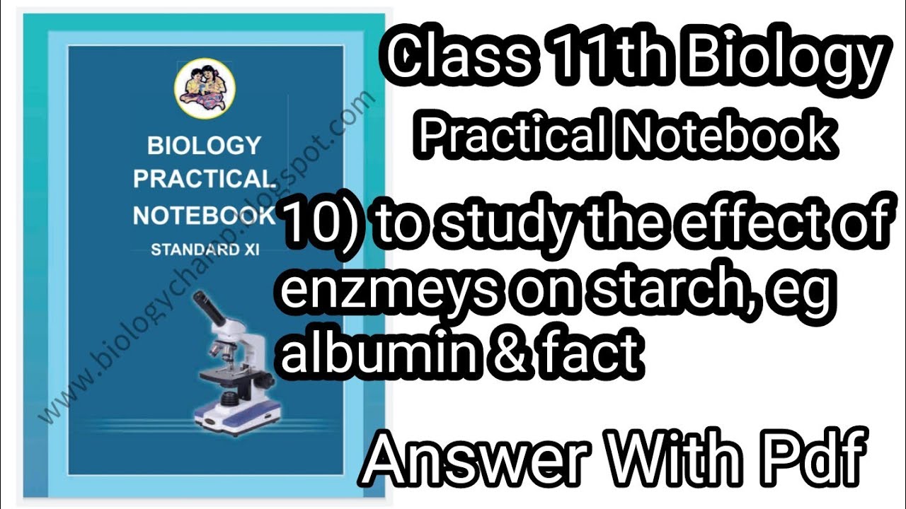 Class 11th Biology Practical Notebook|| to study the effect of enzmeys ...