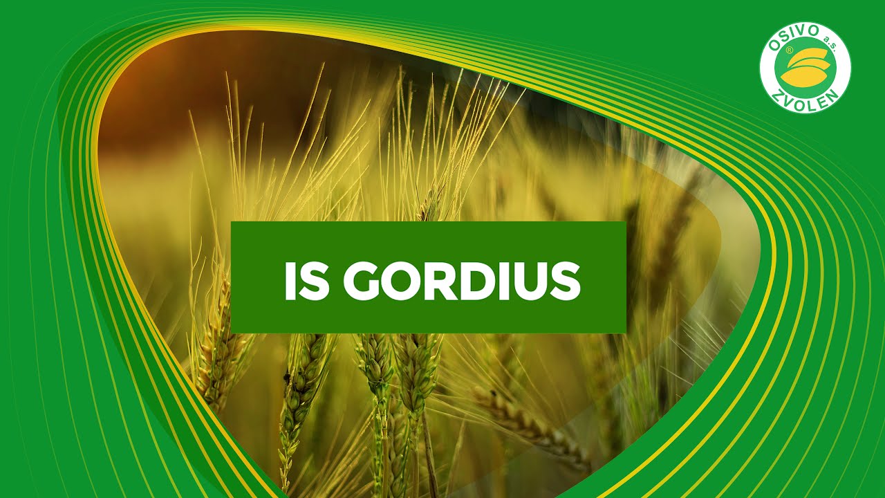 IS GORDIUS - YouTube
