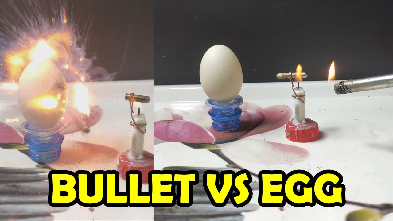 Can a Bullet REALLY Crack an Egg? Witness the Mind-Blowing Experiment ...