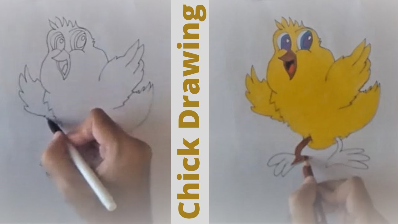 How to Draw Chick - YouTube