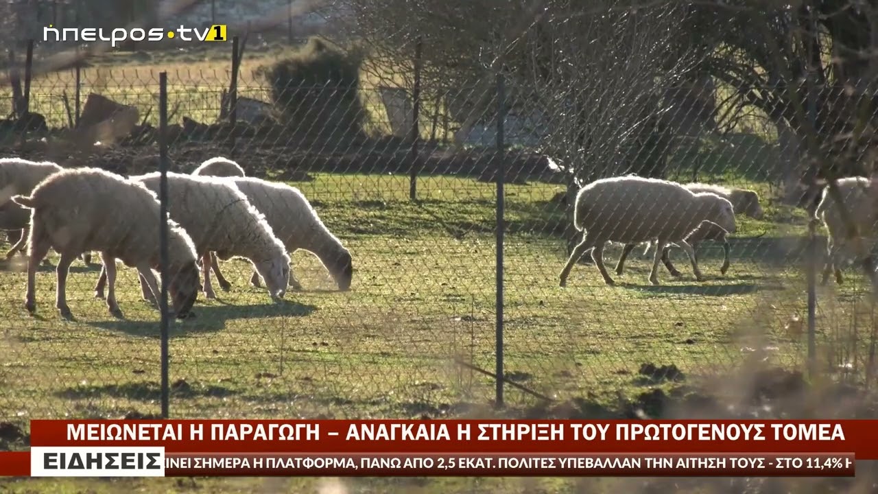 ΜΕΙΩΝΕΤΑΙ Η ΠΑΡΑΓΩΓΗ – ΑΝΑΓΚΑΙΑ Η ΣΤΗΡΙΞΗ ΤΟΥ ΠΡΩΤΟΓΕΝΟΥΣ ΤΟΜΕΑ - YouTube
