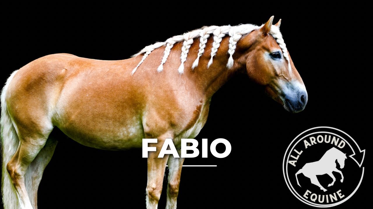 Fabio Video - YouTube