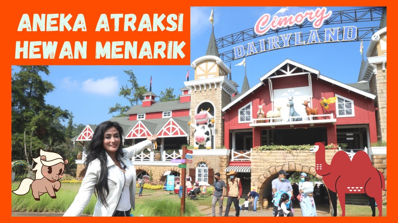 review lengkap cimory dairy land - YouTube