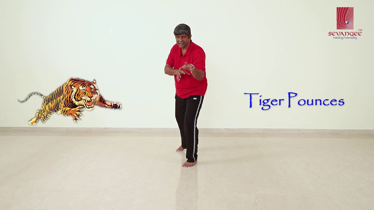 Animal Qigong - Tiger - YouTube