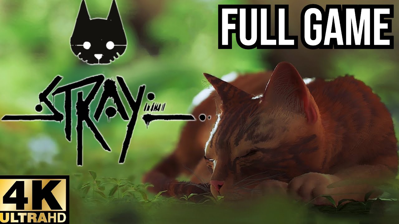 STRAY Full Gameplay Walkthrough PS5 | No Commentary, 4K, 60Fps - YouTube