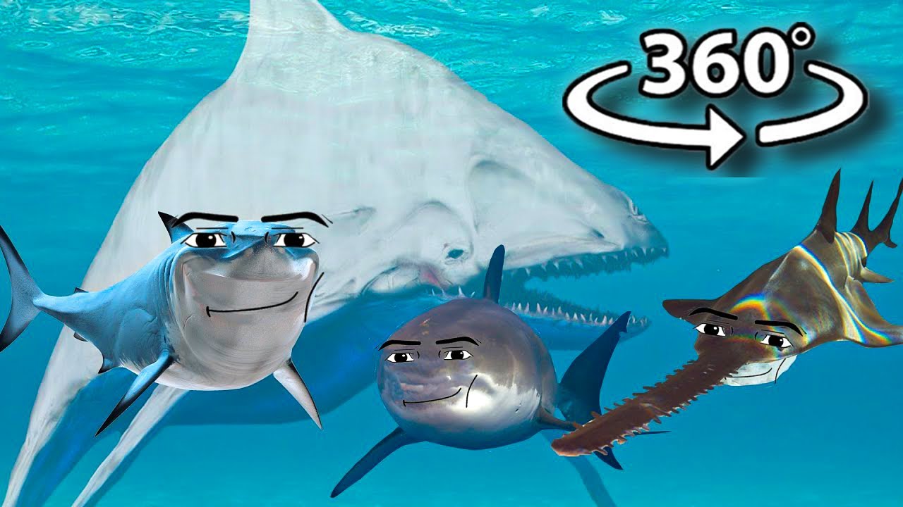360° VR Shark Gegagedigedagedago - YouTube