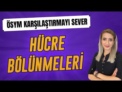 PÜF NOKTALARLA HÜCRE BÖLÜNMELERİ | Seda Hoca Biyoloji #tyt