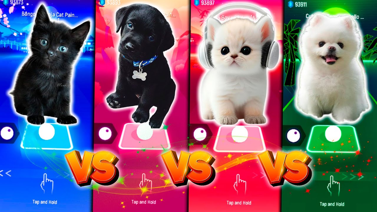 CUTE CAT & DOG DOJA CAT PAINT THE TOWN RED CUTE CAT BTS BOY WITH LOVE ...