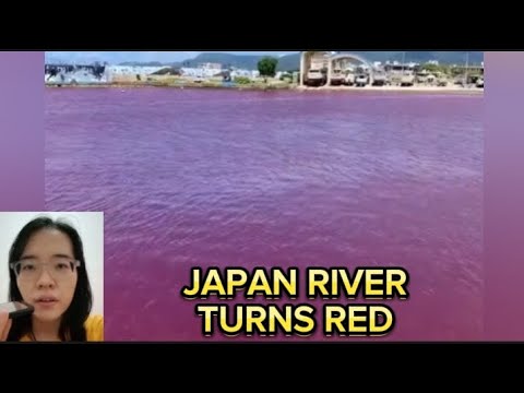 Japan river suddenly turns blood red - YouTube
