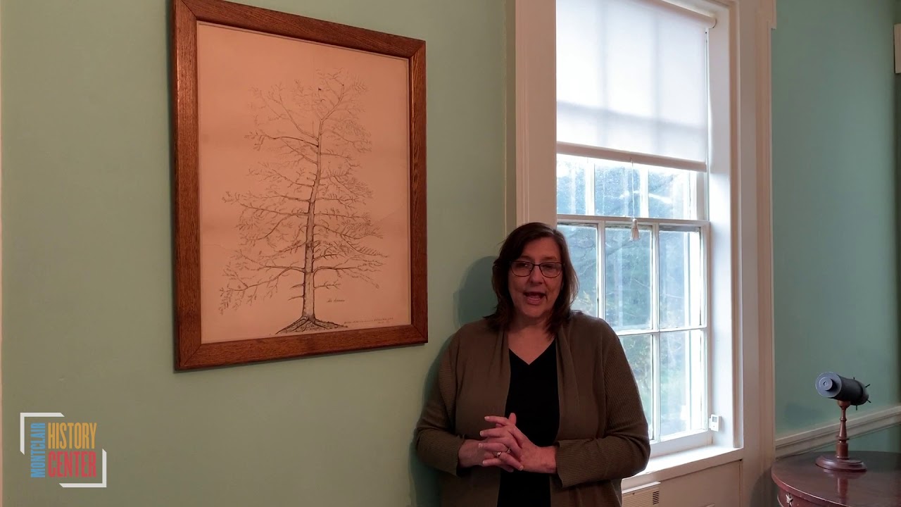 Collections to Go - Crane Family Tree - YouTube
