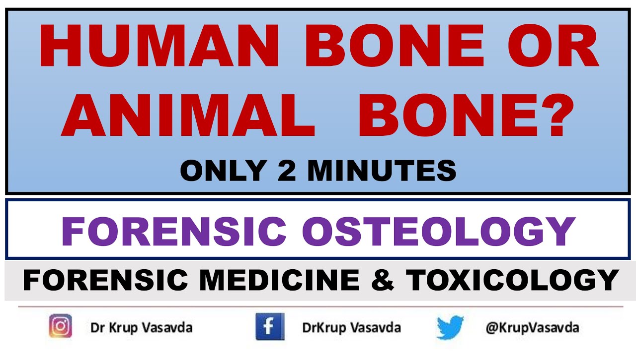 Animal Bone Vs Human Bone || Forensic Osteology || Dr Krup Vasavda ...