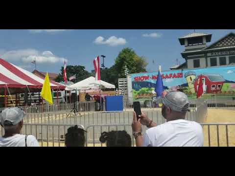 Pig Races at the Ohio State Fair 2019 - YouTube