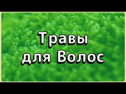 3 травы для ГУСТОТЫ ВОЛОС после 50 | Результат через 2 недели ✨