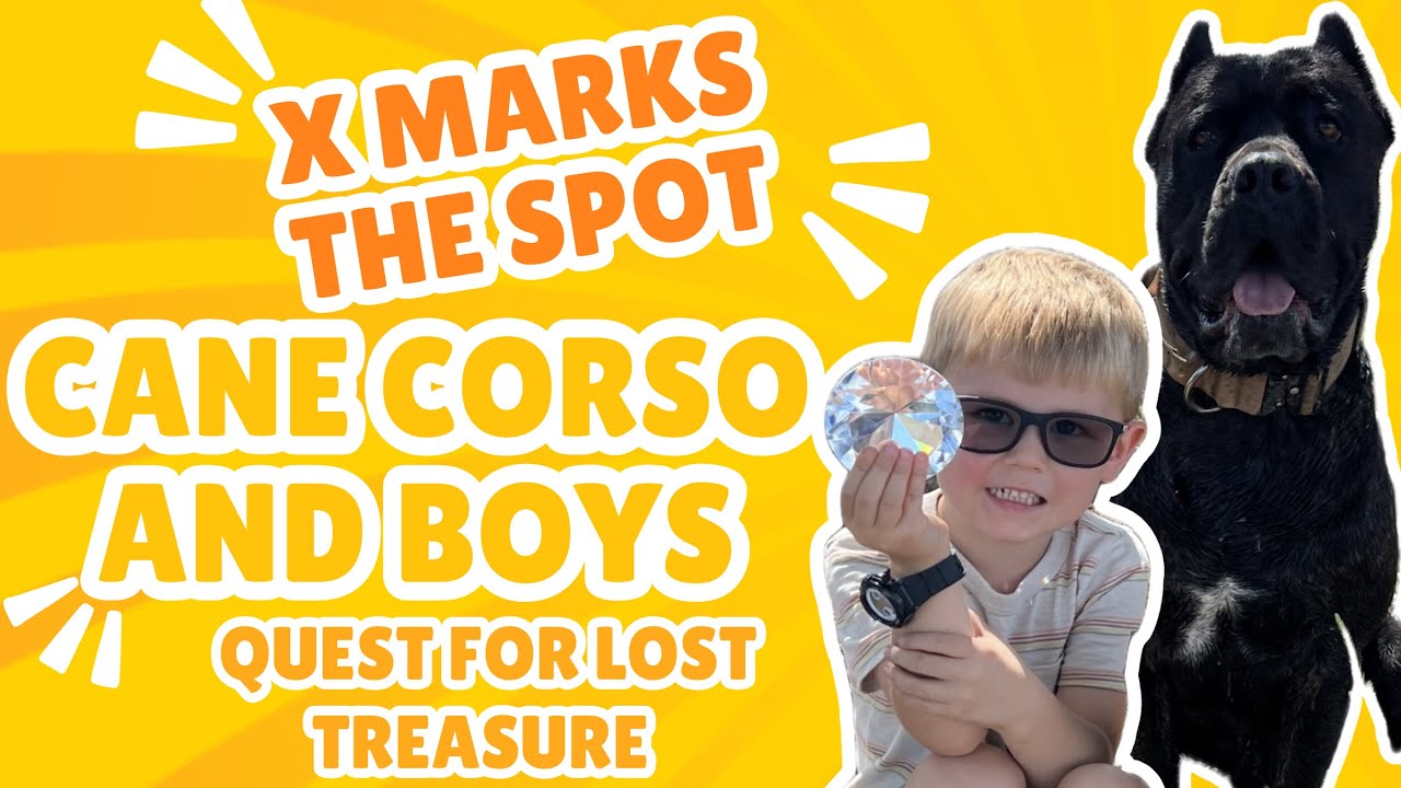 X Marks the Spot: Cane Corso & Boys Quest for Lost Treasure - YouTube