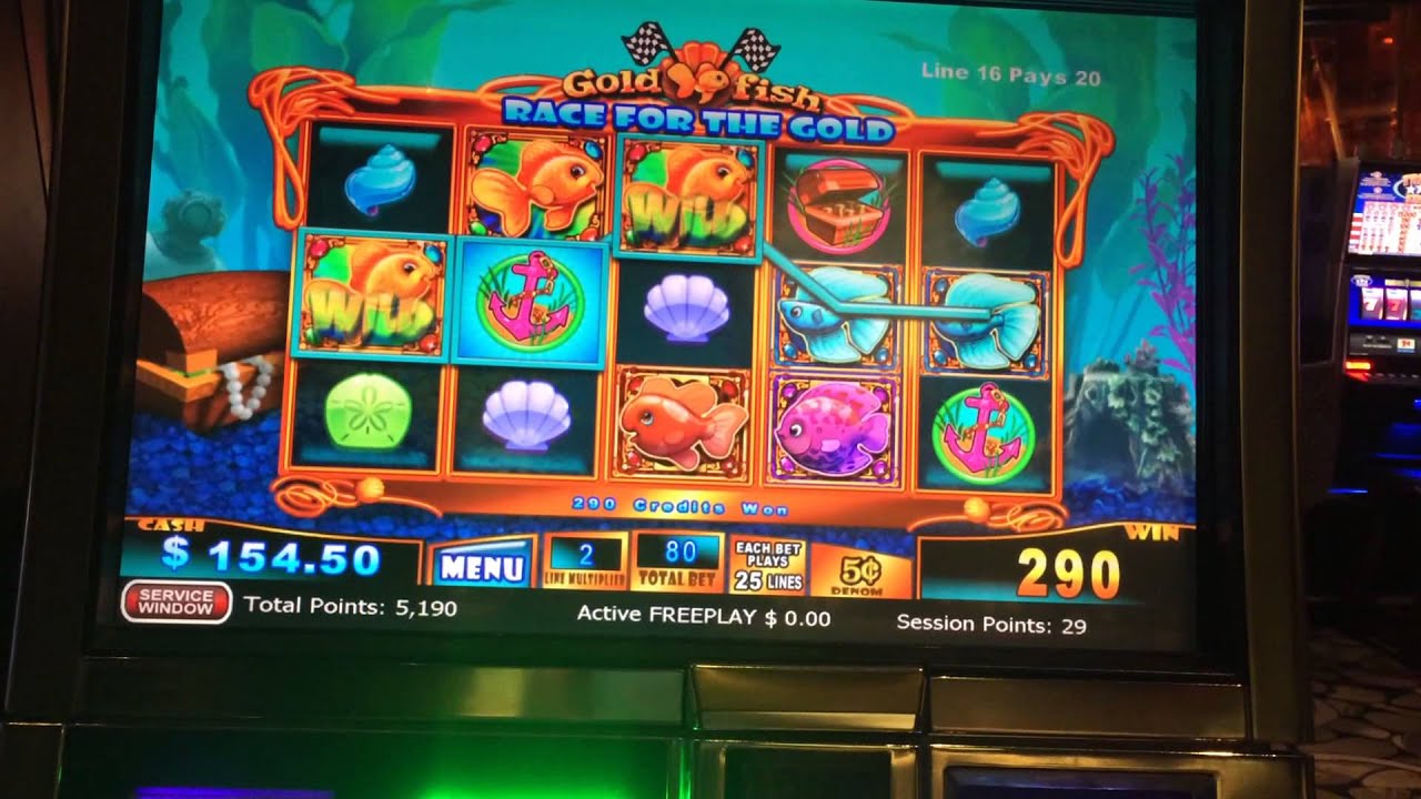 LIVE PLAY on Goldfish Race for the Gold with Big Win!!! - YouTube