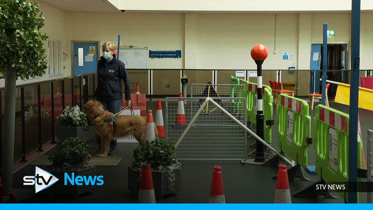 Guide Dogs Scotland is encouraging more people to consider volunteering ...