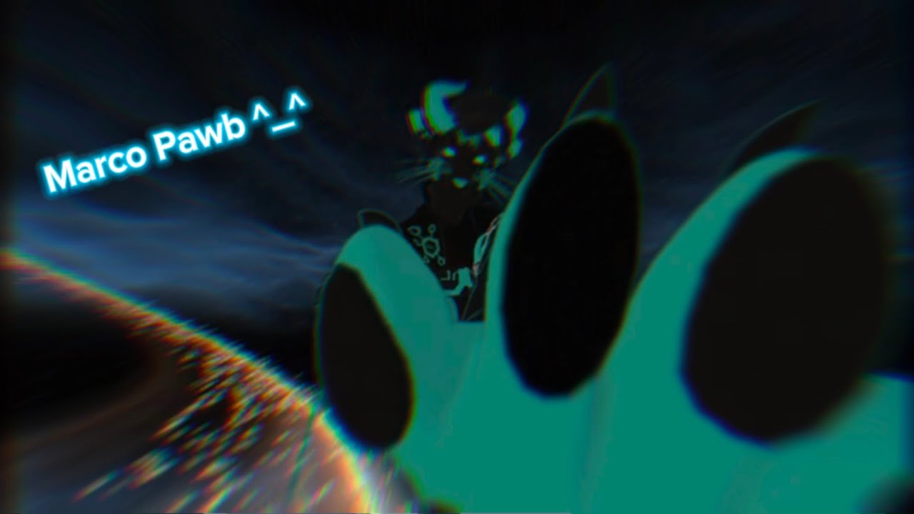 Macro Rex Paws (POV) - YouTube