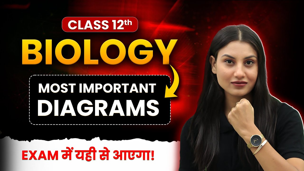Class 12 Biology - Most Important Diagrams | CBSE Board Exam 2024-25 ...