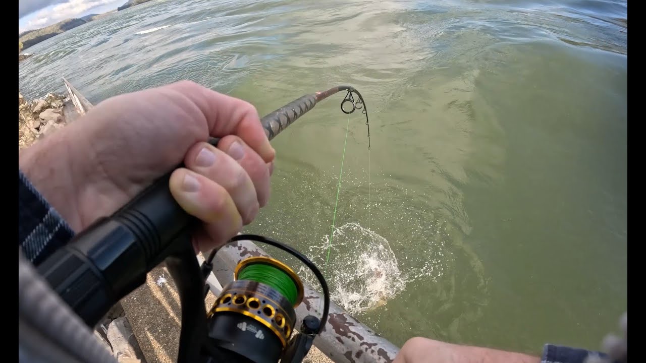 Dam Fishing: The Seasons Are Changing - YouTube