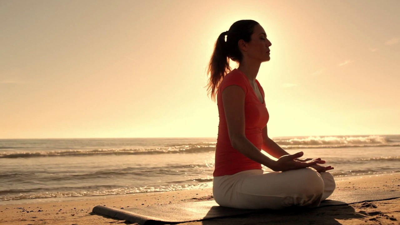 Meditating Dolphin - Themed Guided Meditations - YouTube
