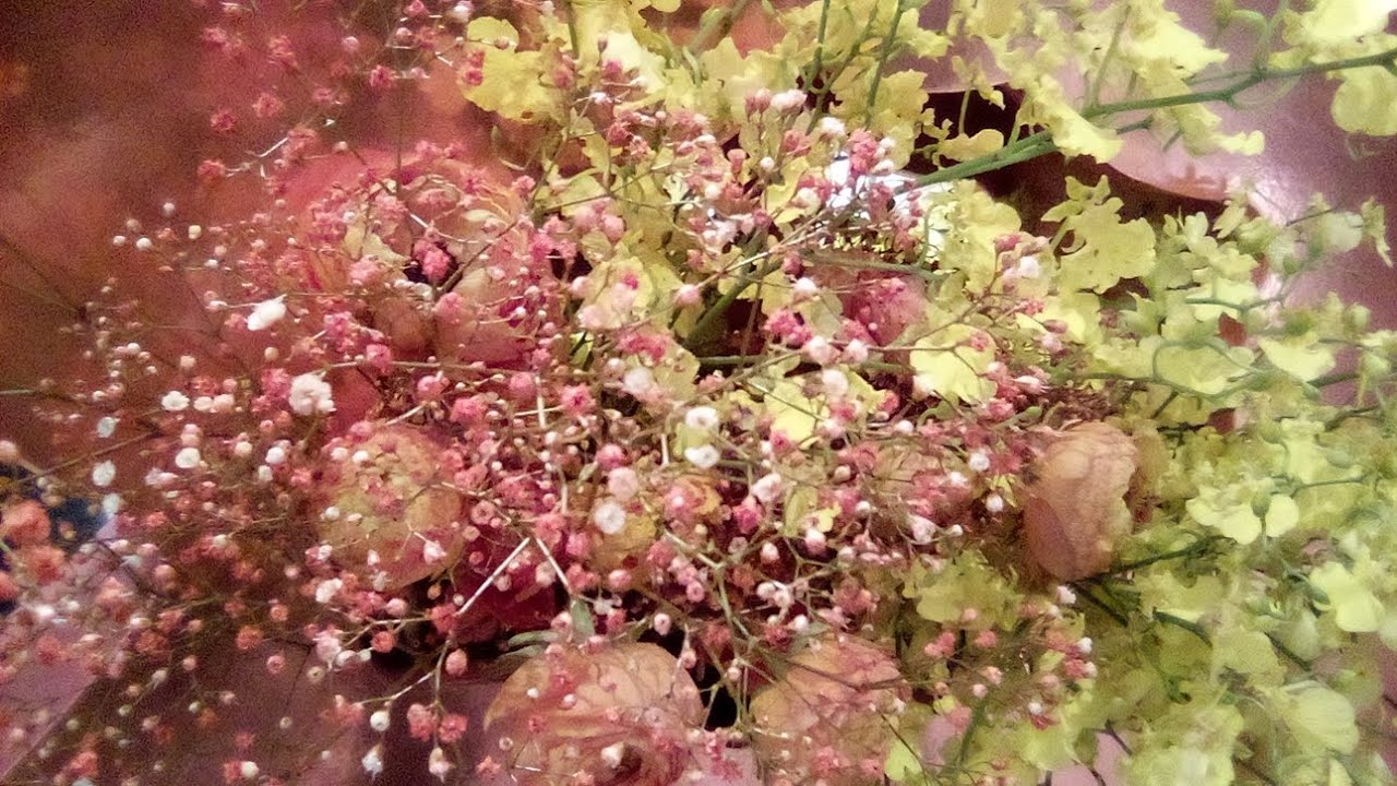 🍂🐛🦋🍂A Codependent Karmic Has Hidden Animosity Towards You for Choosing ...