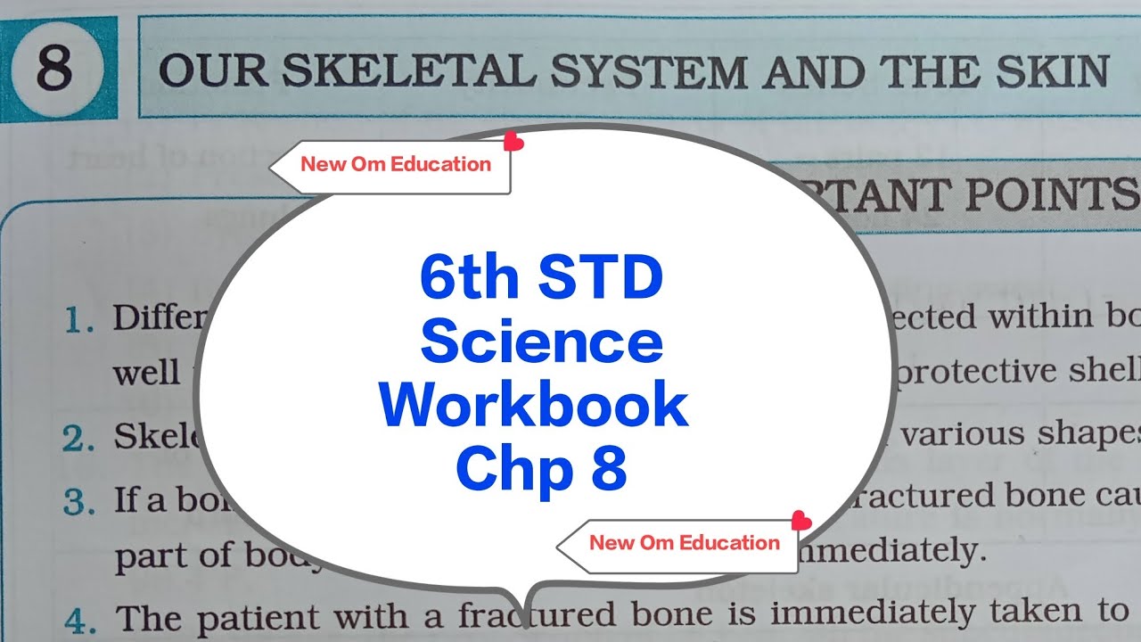 6th STD Science Workbook Chp 8 Our Skeletal System And The Skin ...