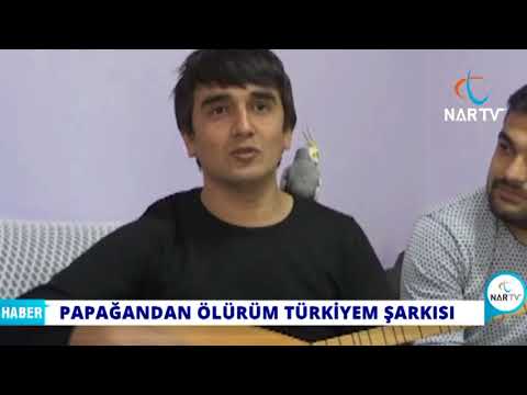 PAPAĞAN ZİYA