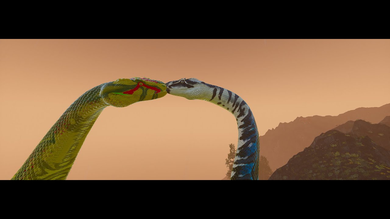 Terra(land) Snake Comp l Beast Of Bermuda Snake Hunt Video - YouTube