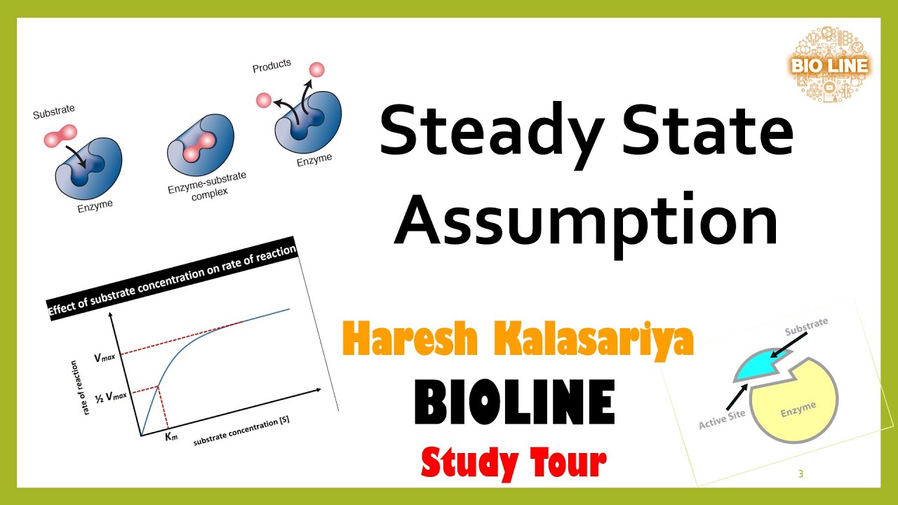 Steady State Assumption - Enzyme Kinetics I Bio line - YouTube