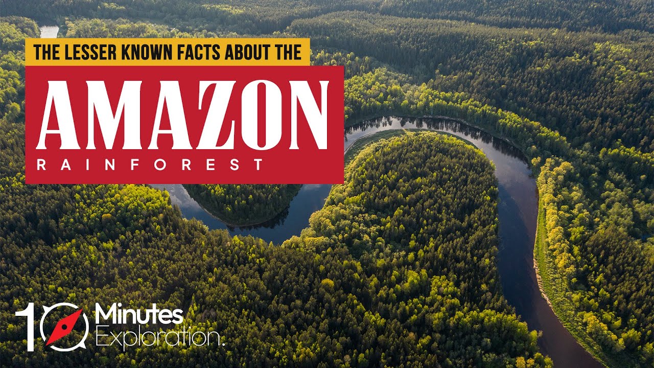 Incredible Facts About the Amazon Rainforest | Biodiversity | 10Minutes ...