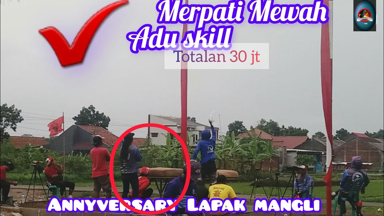 🔴Merpati Mewah|| Adu Skill!! Annyversary Lapak Mangli - YouTube