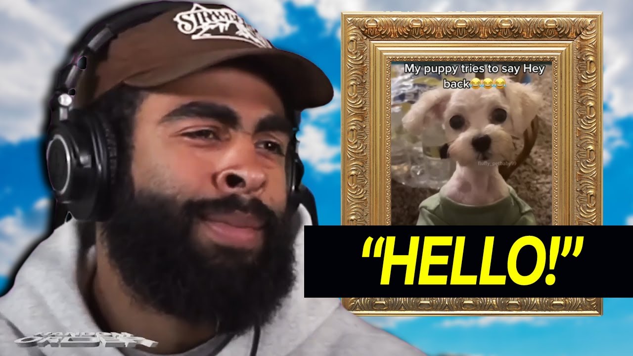 Dogs Talking Compilation - YouTube