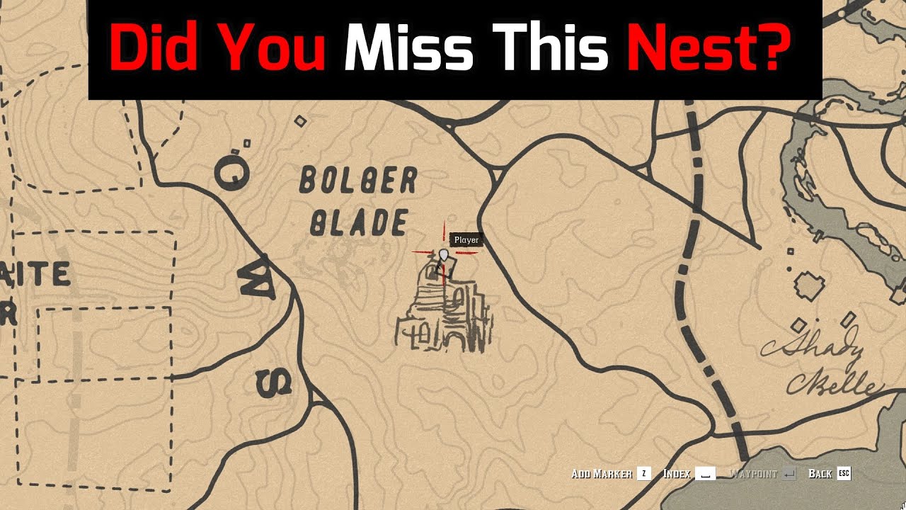 Soo Much Money in One Place & You Might Have Miss This Nest - RDR2 ...