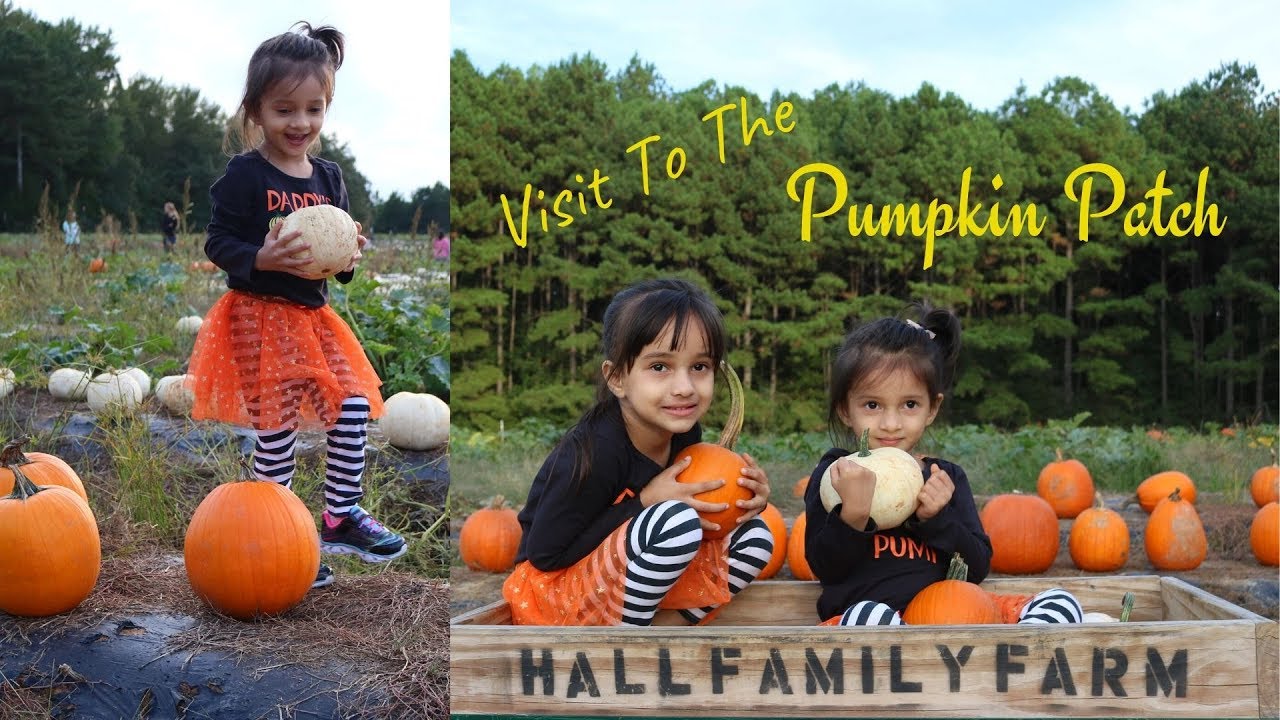🎃Pumpkin Patch🎃 Pumpkin Farm Visit In USA | Fall Evening In The Farm ...