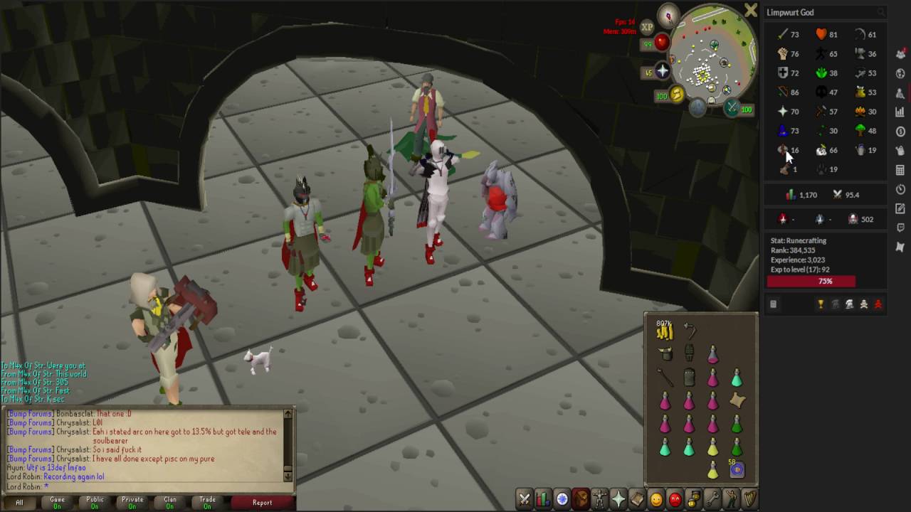 Getting a Rift Guardian Pet - ONLY 16 runecrafting (3000 xp)! (Old ...