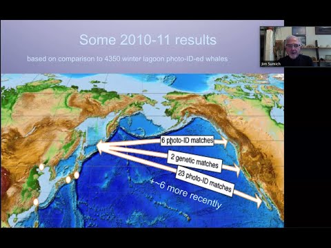 Dr. James Sumich, “Gray Whale Populations: The Eastern/Western Paradox ...
