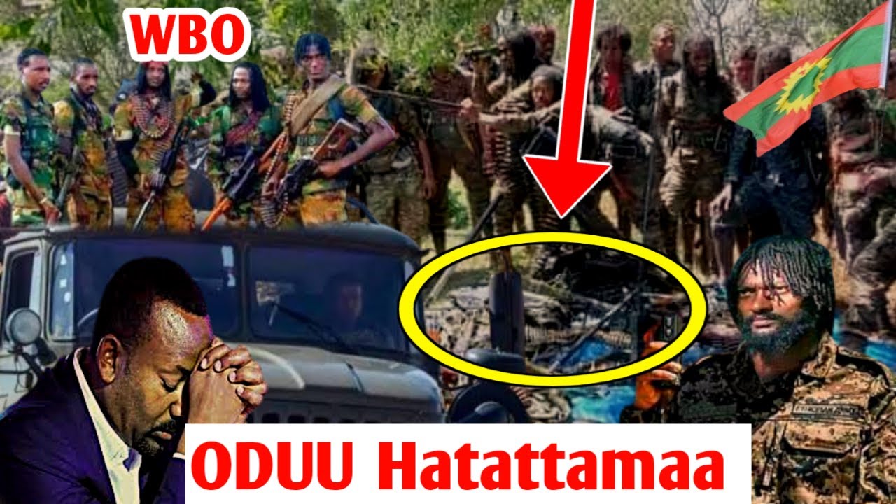 ODUU Ammee Haaraa Addaa Amma nu dhaqqabde kunoo @MOHAMEDIA - YouTube